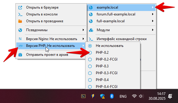 Установка и настройка Open Server Panel 6